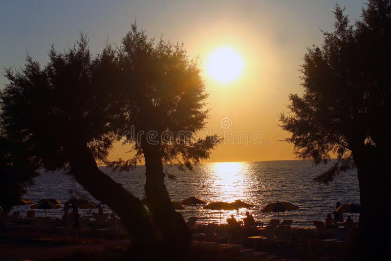 The Sunset Behind the Trees Stock Photo - Image of cloud, coast: 161895504