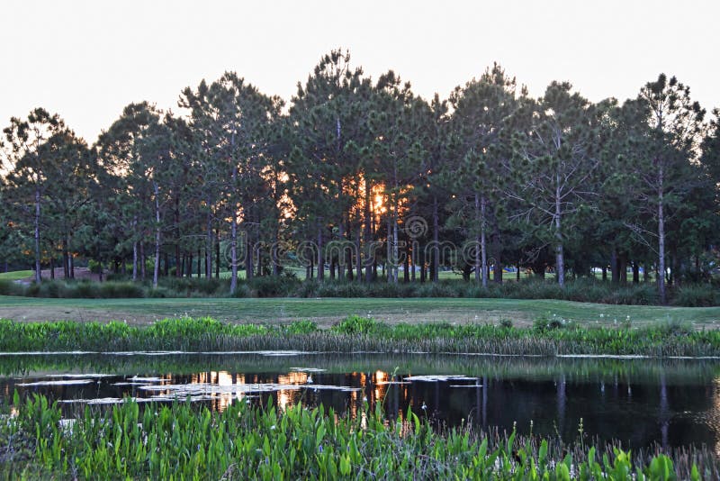 Golf Course Sunset stock image. Image of florida, golf - 40212885