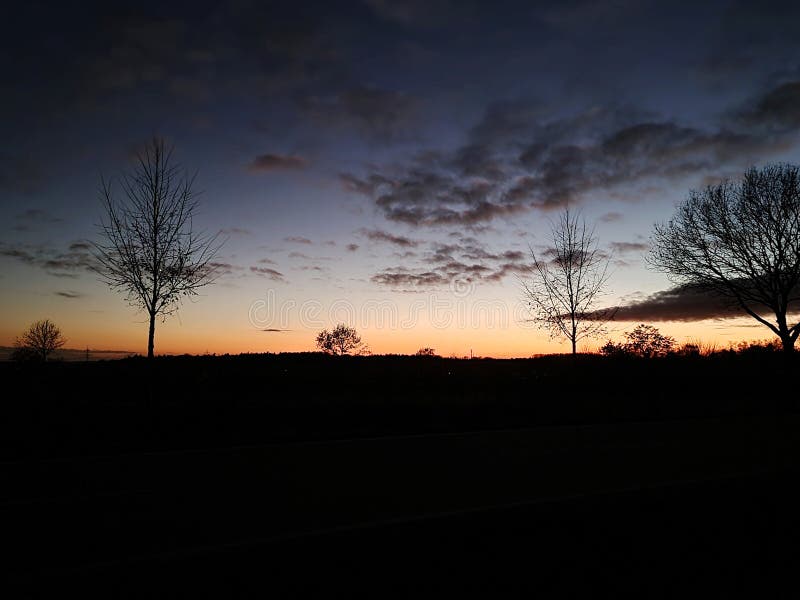 Sunset Behind the Trees and Mystical Light Stock Image - Image of trees ...