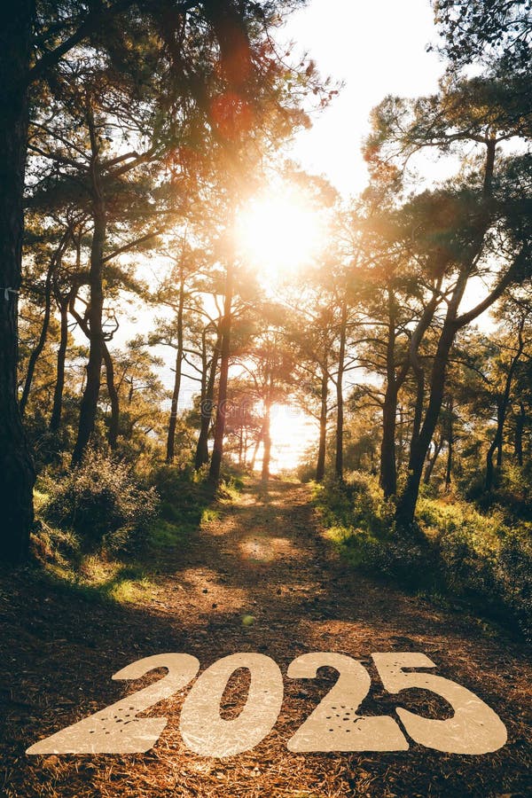 Sunset Behind Trees with Sea View, with the Year 2025 Stock Photo ...