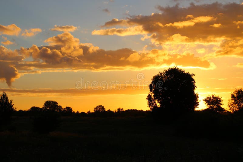 Sunset behind the trees stock photo. Image of trees, sunset - 78892756