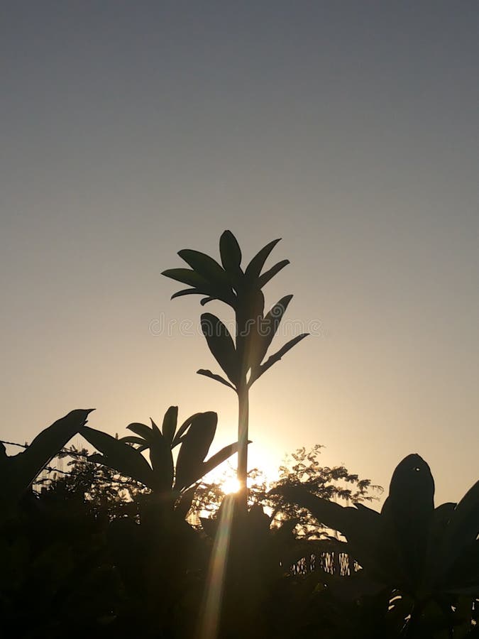 Sunset stock image. Image of time, watch, sunset - 43143877