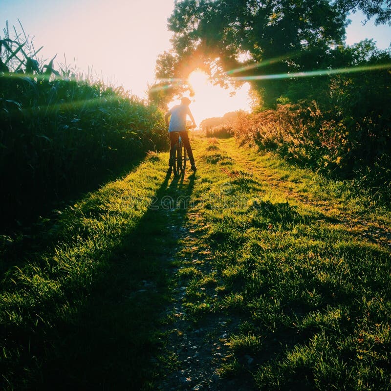 Sunset Bike Ride through the Fields Stock Photo - Image of north ...