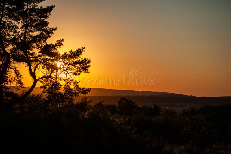 Sunset in the Black Forest. Sun Behind a Tree Stock Photo - Image of ...
