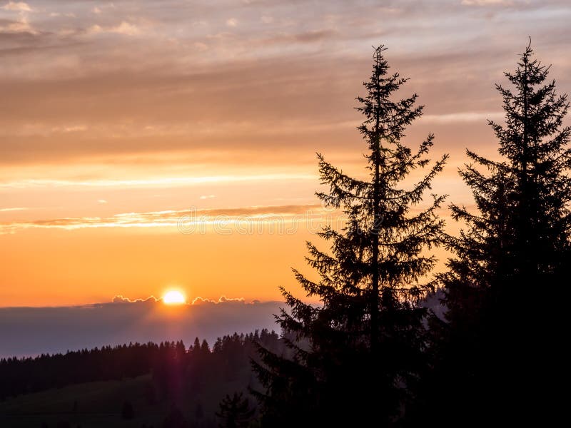 Sunset in the Black Forest stock image. Image of forest - 193836135