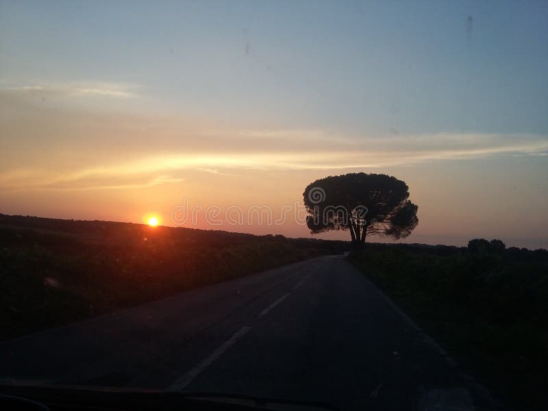 Sunset with black tree stock image. Image of road, clouds - 78313985