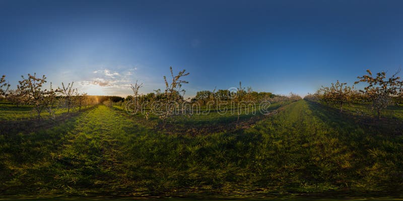 180 Degree Garden Stock Photos - Free & Royalty-Free Stock Photos from ...