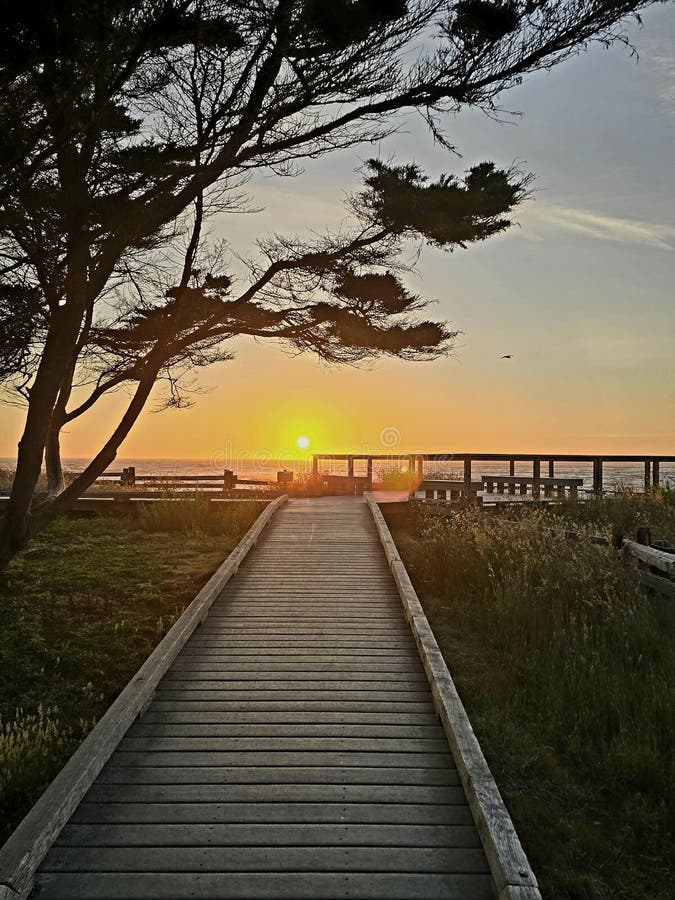 Sunset boardwalk north stock image. Image of north, bragg - 322701575