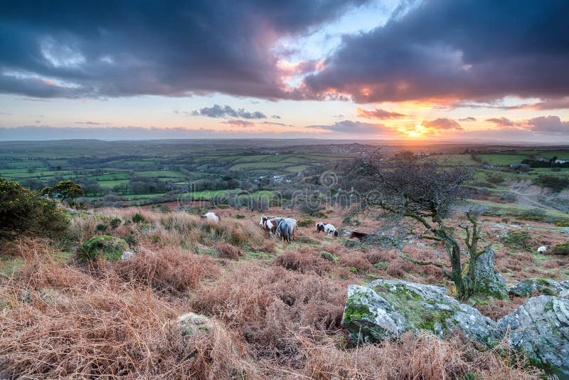 Sunset on Bodmin Moor stock photo. Image of rocks, moors - 55240634