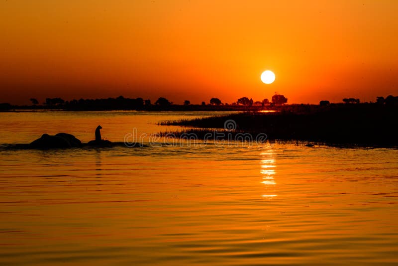 Sunset in Botswana on the Chobe River Stock Photo - Image of natire ...