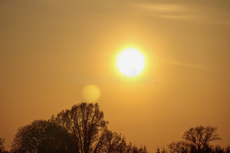.sunset with Bright Sun and Tree Silhouettes Stock Image - Image of ...
