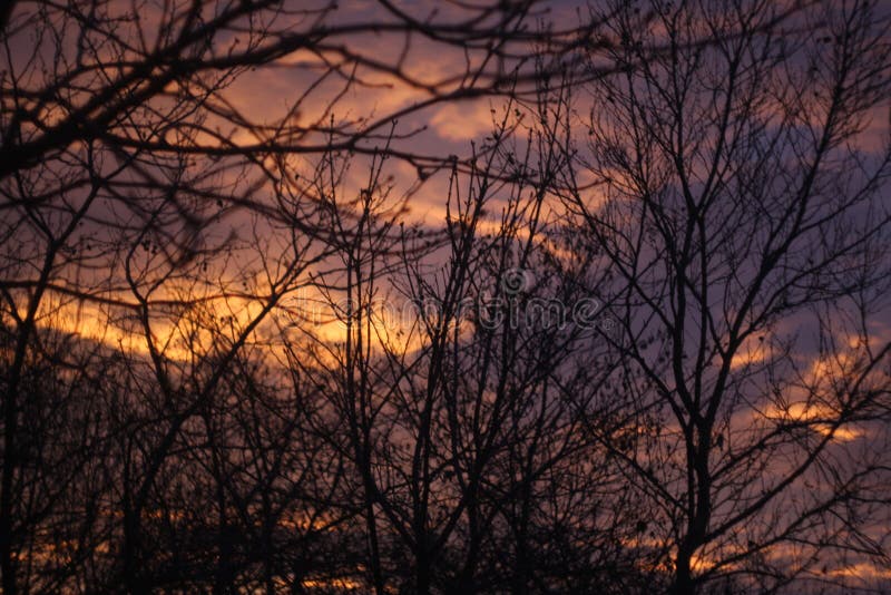 A Sunset Broken by Darkened Trees. Stock Photo - Image of background ...