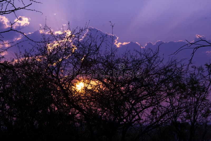 Sunset in the Bushveld #3 stock image. Image of sunset - 4397527