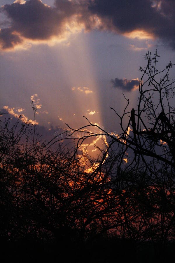 Bushveld Dawn stock image. Image of nature, kwamalibali - 32306179