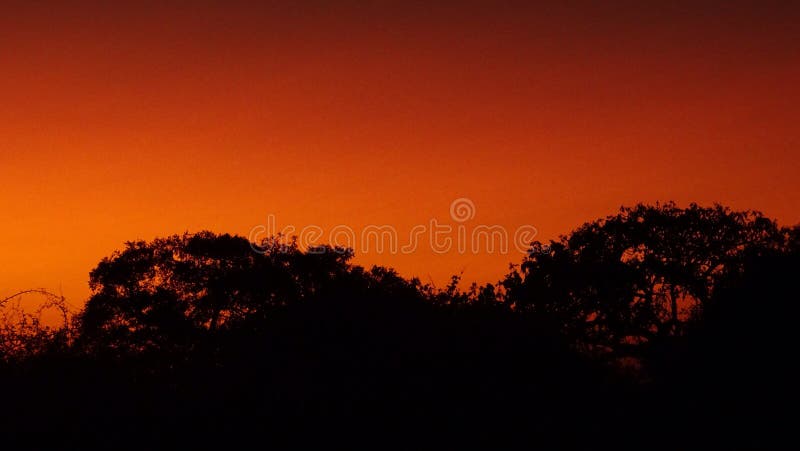 625 Bushveld Sunset Stock Photos - Free & Royalty-Free Stock Photos ...