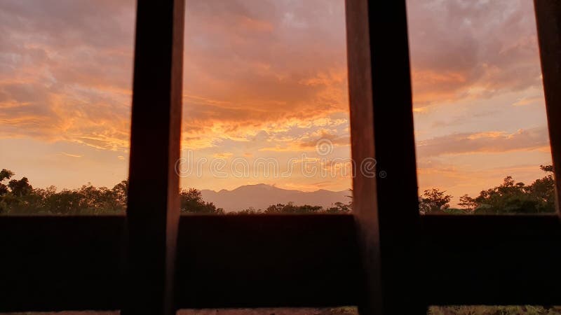 Sunset from the cage stock image. Image of sunset, amazing - 201755071