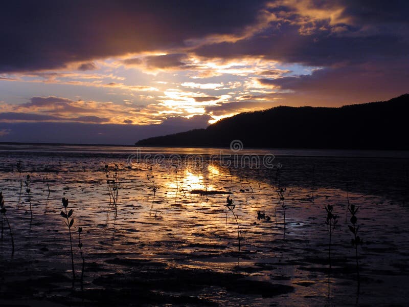 Sunset in Cairns stock photo. Image of landscape, romantic - 1075594