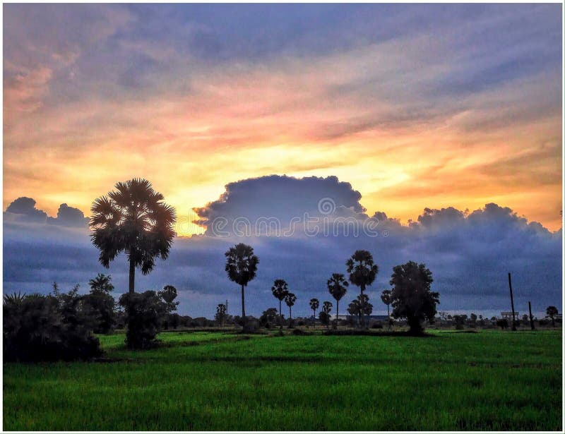 Sunset in Cambodia stock photo. Image of neutral, sunset - 97828968