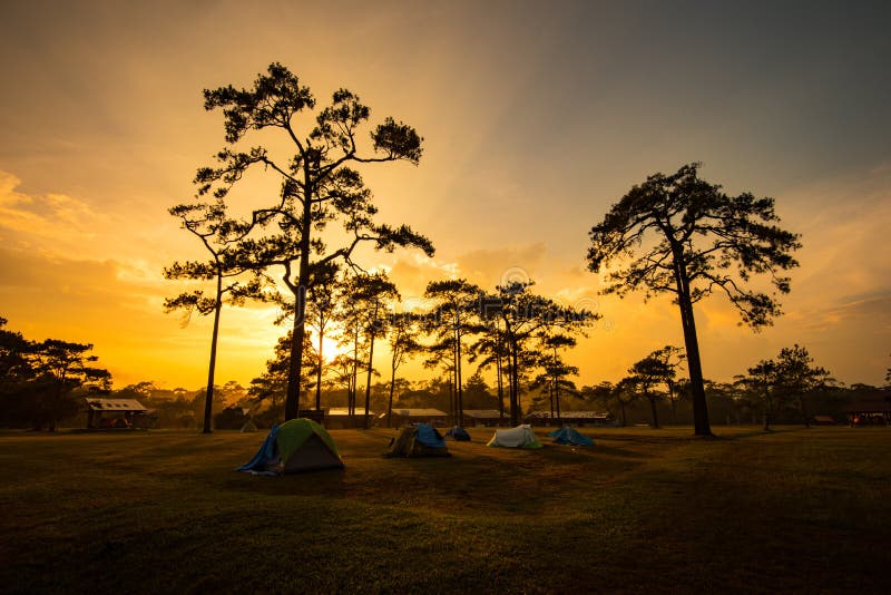 Sunset Camping tents stock photo. Image of fall, forest - 79921258