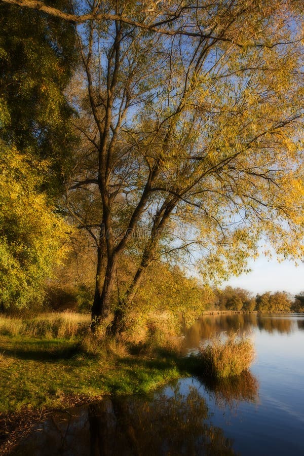 Sunset capture stock image. Image of autumn, lanscape - 22932427