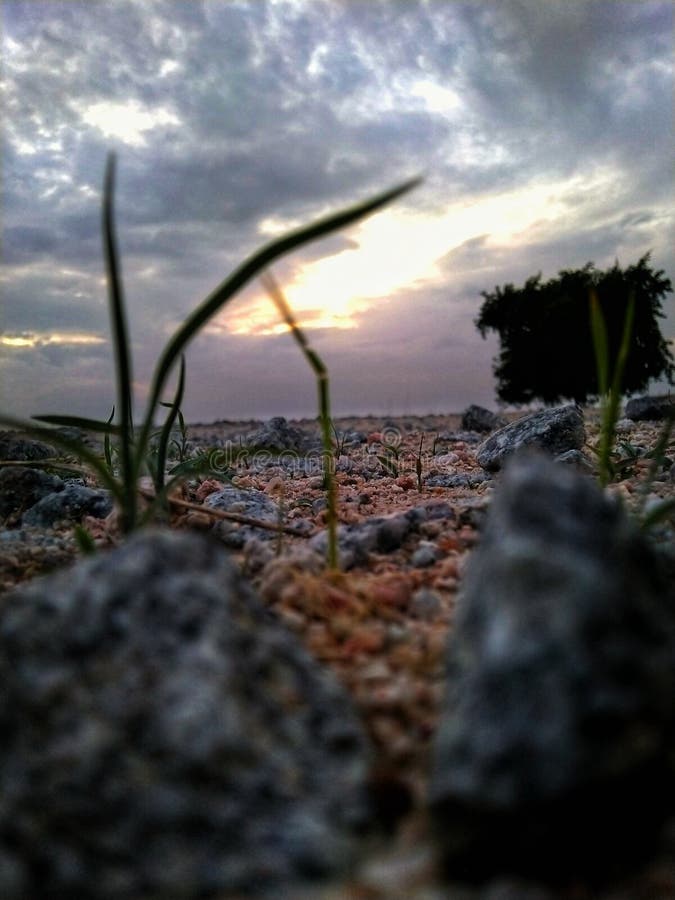 Sunset capture stock photo. Image of colourful, accomplish - 254290