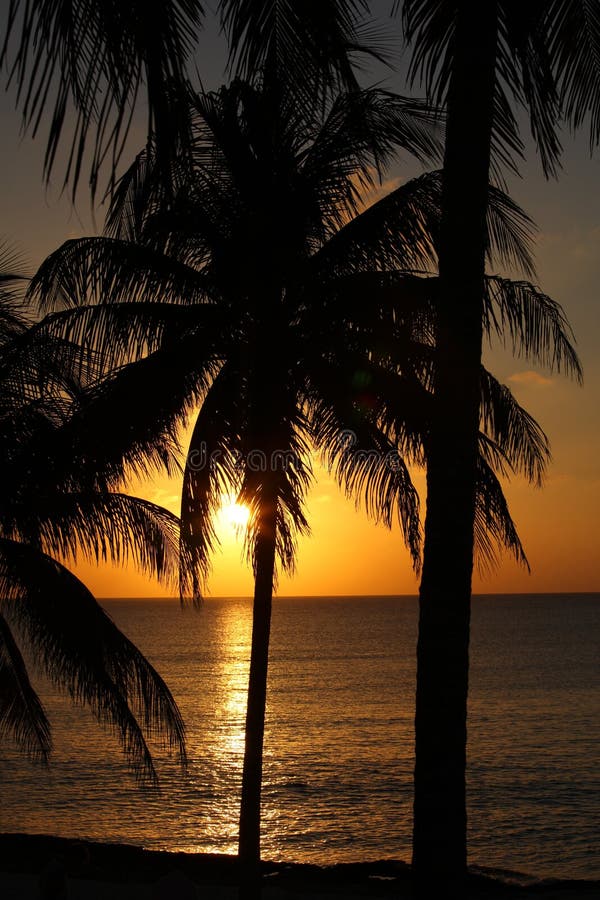 Sunset in the Caribbean stock image. Image of colorful - 18797613