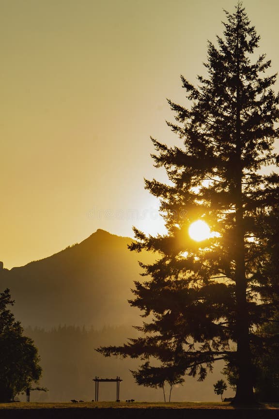 Sunset in Cascade Locks stock photo. Image of nature - 285654250