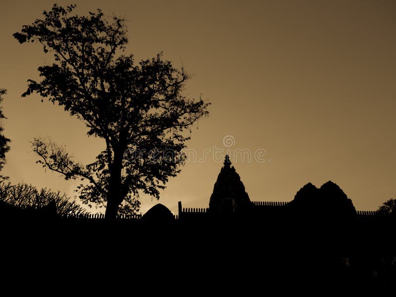 857 Rook Silhouette Stock Photos - Free & Royalty-Free Stock Photos ...