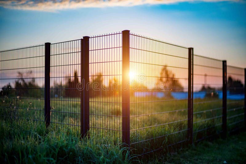 Sunset Casts Golden Light Over Fence, Field, and Distant Landscape ...