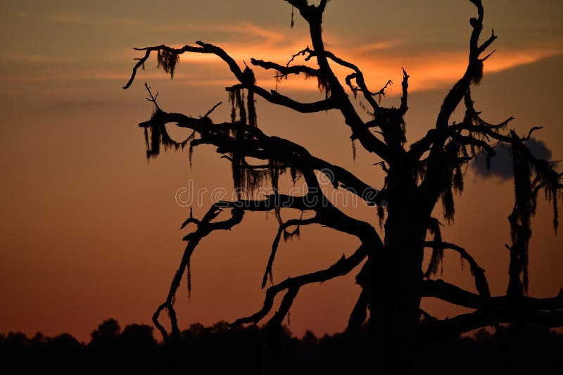 Beautiful Orange Sunset in Central Florida Stock Photo - Image of ...
