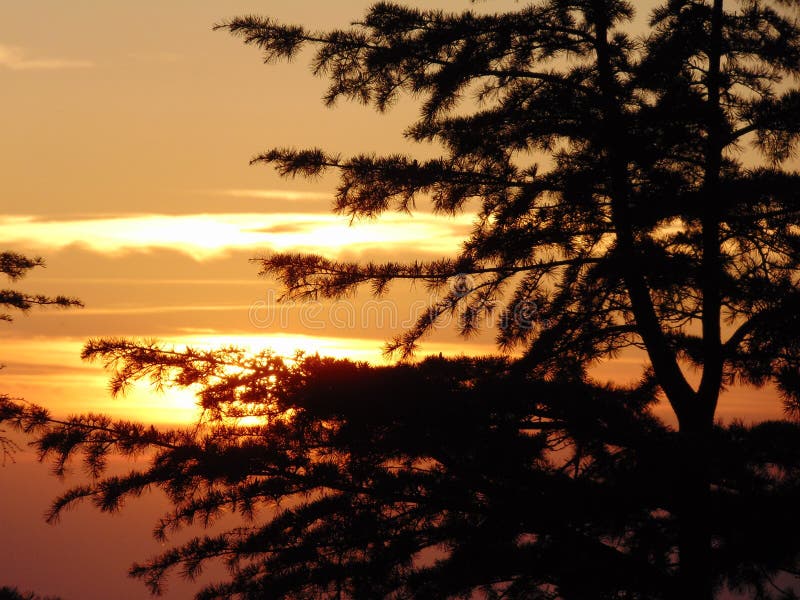 Colourful Sunset and the Tree Stock Image - Image of background, tree ...