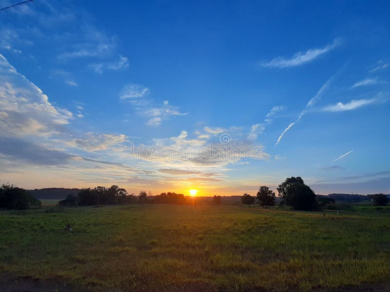 Sunset and chill stock photo. Image of sunset, green - 221816328