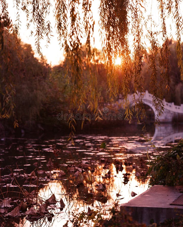 Sunset of chinese garden stock image. Image of sunset - 7409149