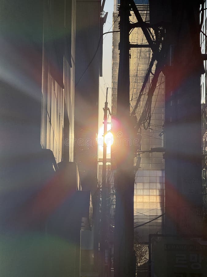 Sunset in the city stock image. Image of sunlight, city - 362833709