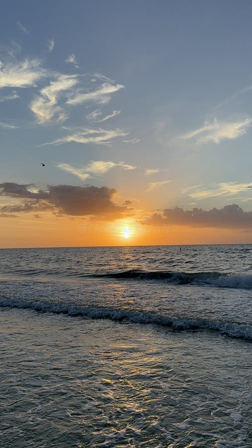 Sunset in Clearwater, Florida Stock Image - Image of coast, nature ...