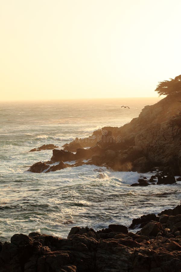 Sunset Cliff stock image. Image of relax, cool, holiday - 23125117