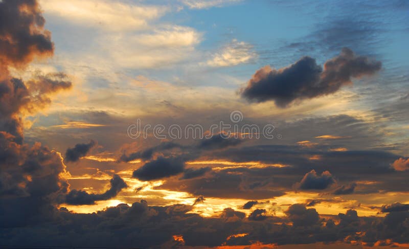 Fresno Sunset stock image. Image of photographer, tree - 5057795