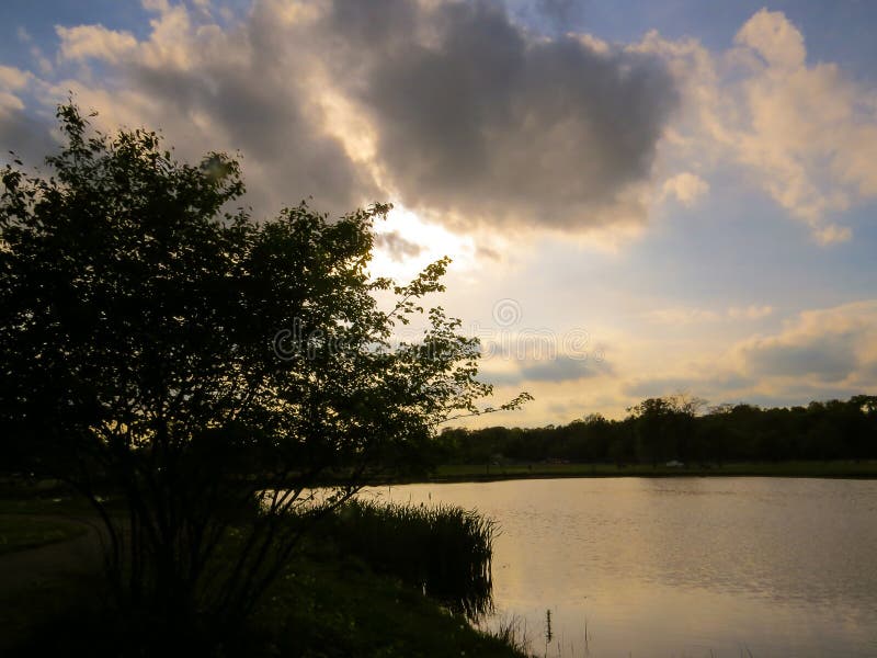 Clouds and Trees Over the Pond in the Evening Sunset Stock Photo ...