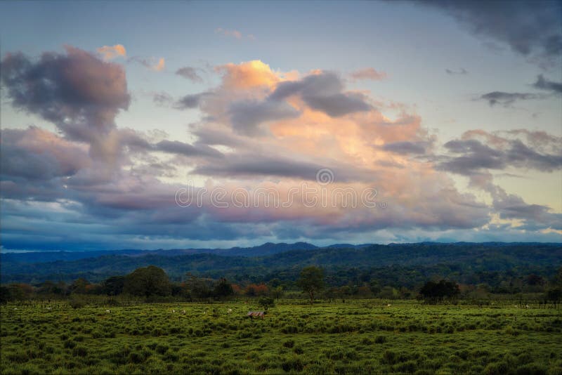 Sunset Clouds Over Fields in Costa Rica Stock Image - Image of outdoor ...