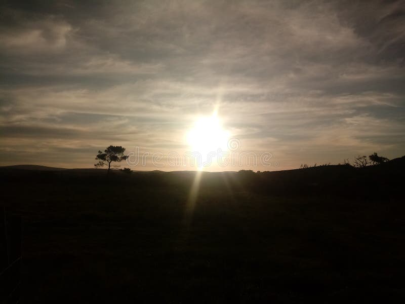 Sky, Clouds and Tree Reflection in Grid of Glass Window of Modern ...