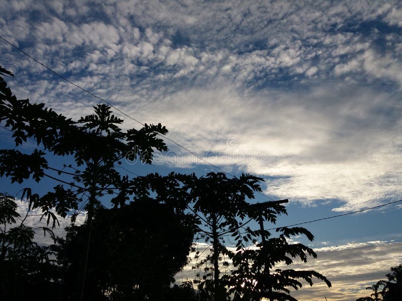 Sunset stock image. Image of leaf, high, clouds, morning - 183473493