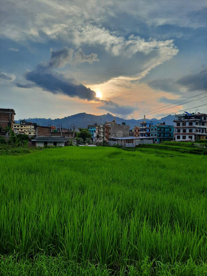 Sunset and Cloudy Sky with Greenary Stock Photo - Image of environment ...