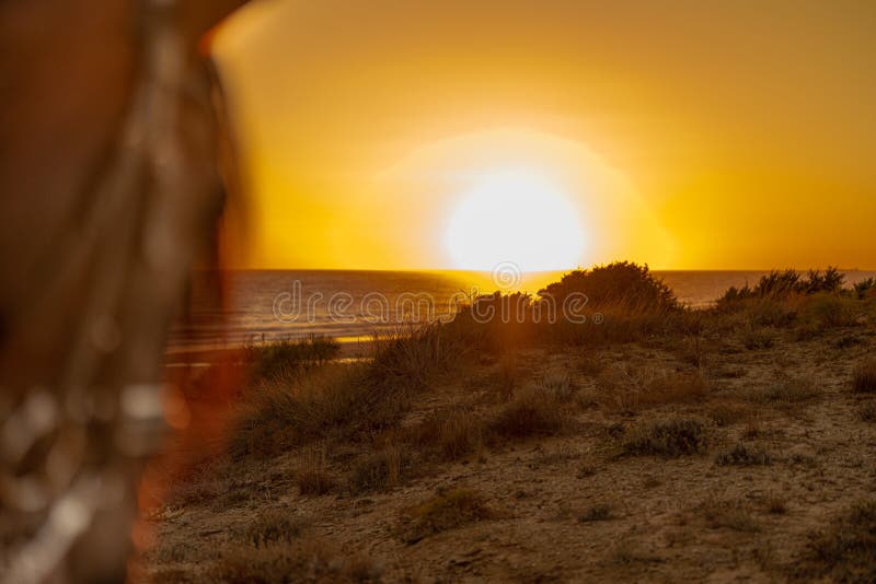 Sunset on the Coast of Cadiz Captured with a Horse Stock Photo - Image ...