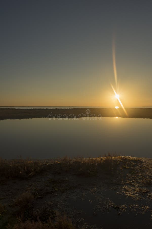 Sunset on the Coast of the Ebre Delta Stock Photo - Image of meadow ...