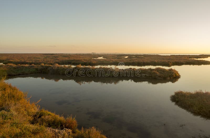 Sunset on the Coast of the Ebre Delta Stock Image - Image of spanish ...
