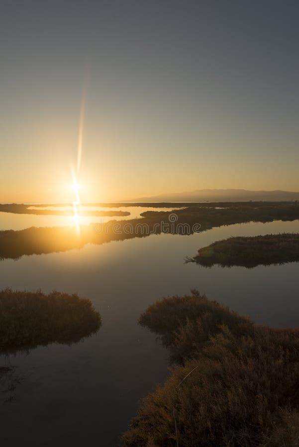 Sunset on the Coast of the Ebre Delta Stock Photo - Image of grass ...