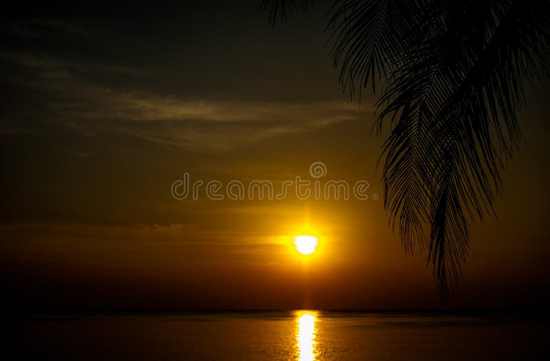 Sunset and coconut tree stock photo. Image of sunset - 149937136