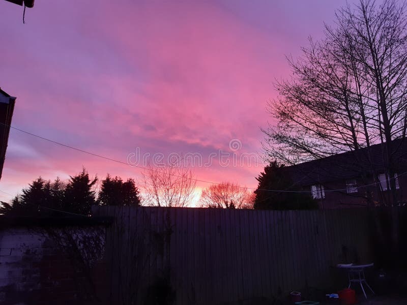 Sunset through the cold stock image. Image of colourful - 219482517