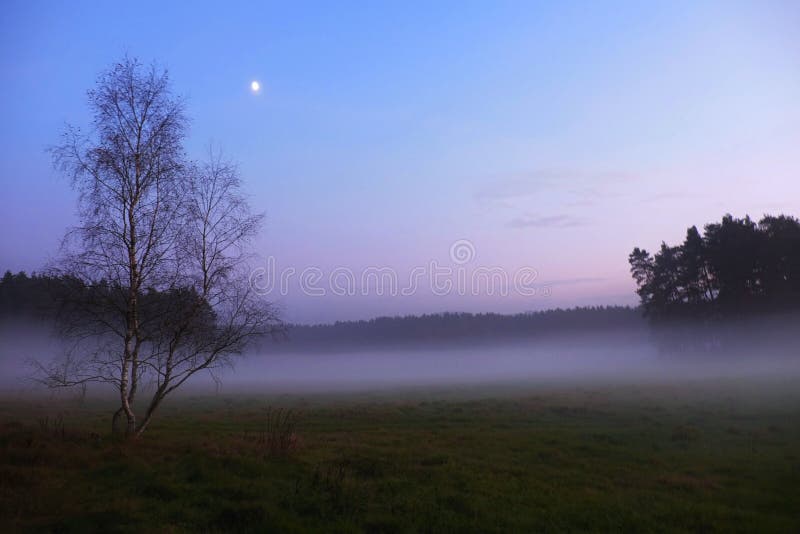 Sunset with a Cold Sky Over the Sea Stock Photo - Image of cloudscape ...