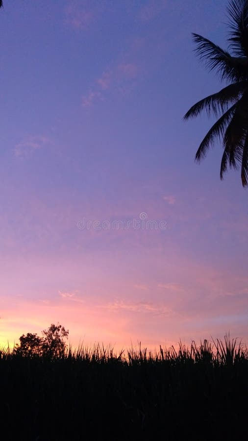 Sunset stock photo. Image of full, color, shot, sunset - 106435720